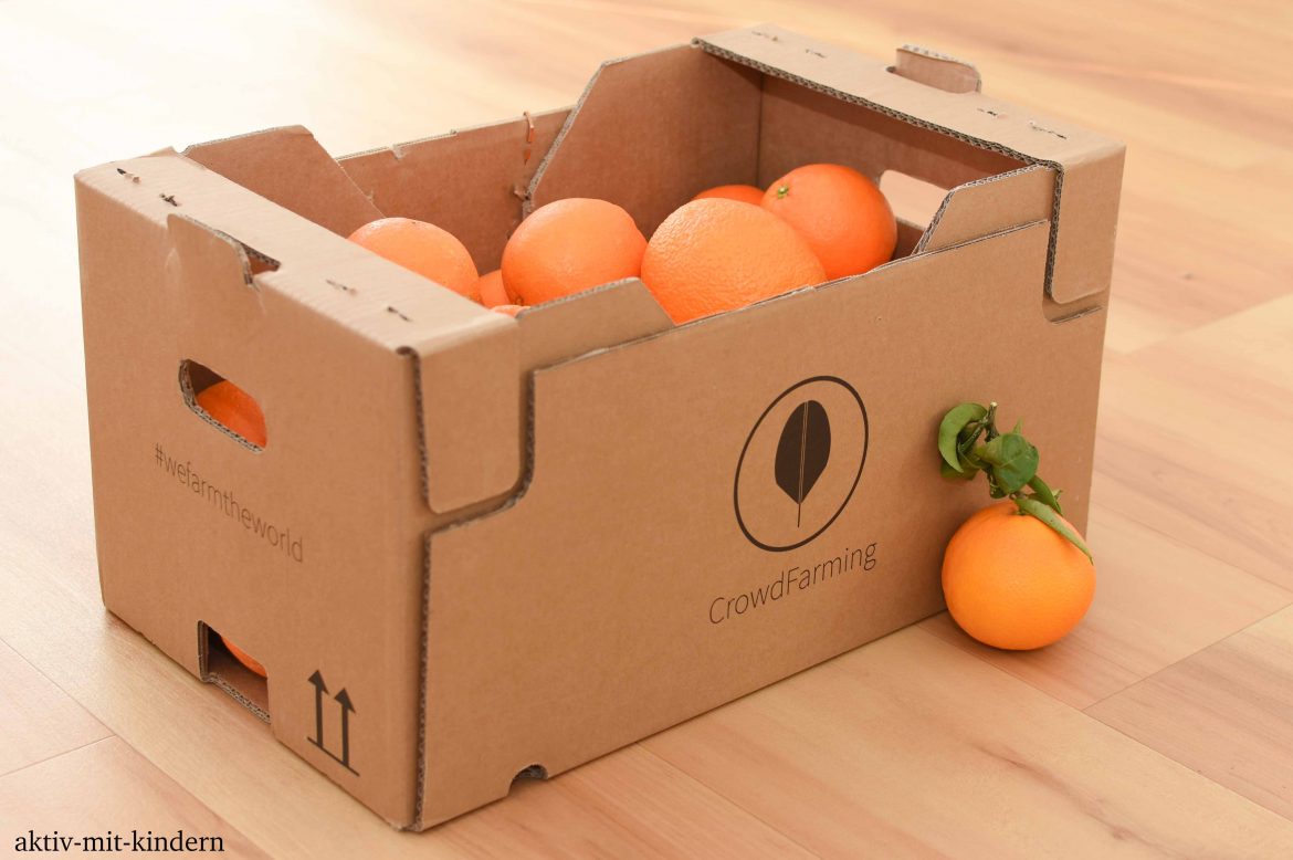 Orangen vom eigenen Baum. Wir sind jetzt Crowdfarmer. - Aktiv mit Kindern
